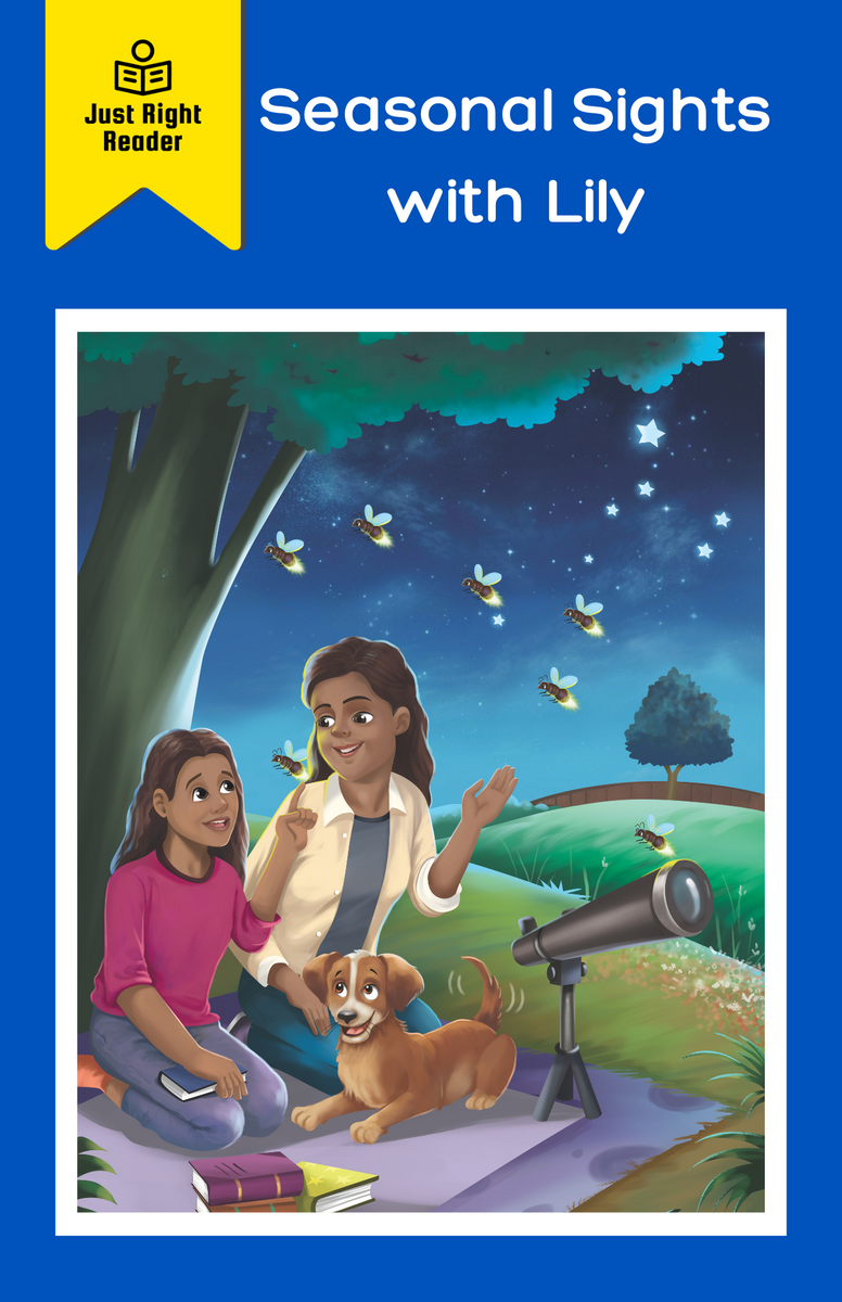 Seasonal Sights | Just Right Reader