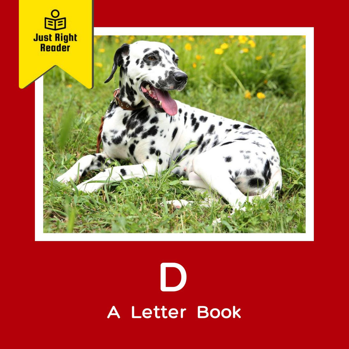 D - A Letter Book | Just Right Reader