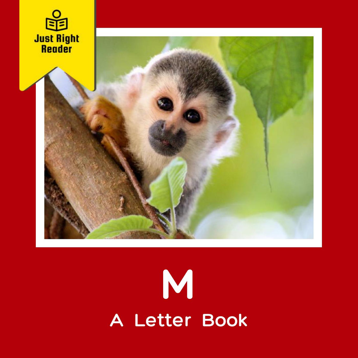 M - A Letter Book | Just Right Reader