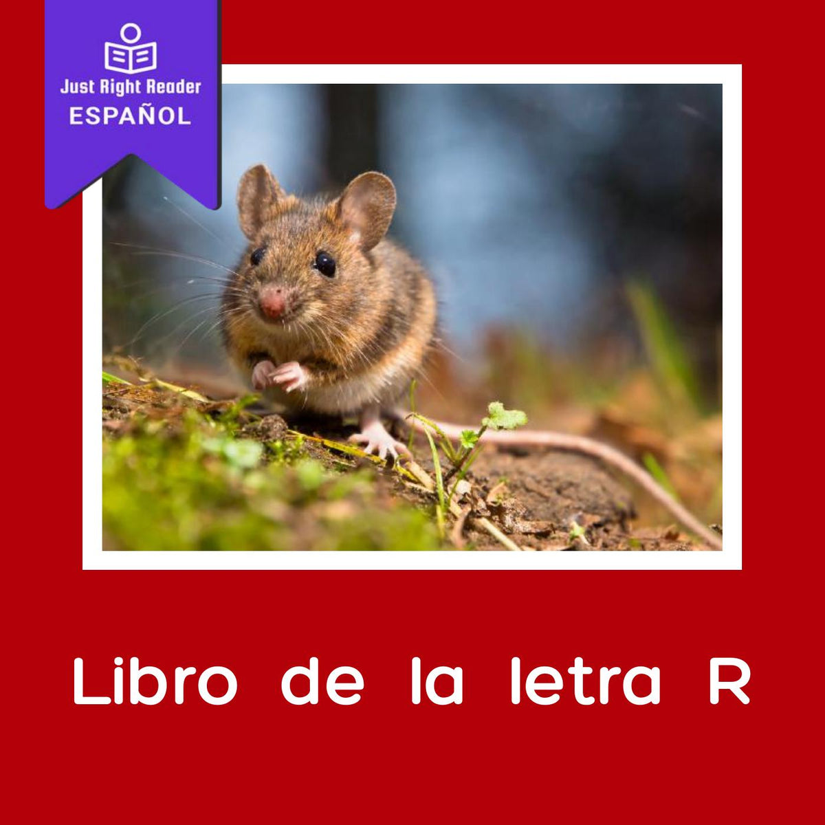 Libro de la letra R | Just Right Reader