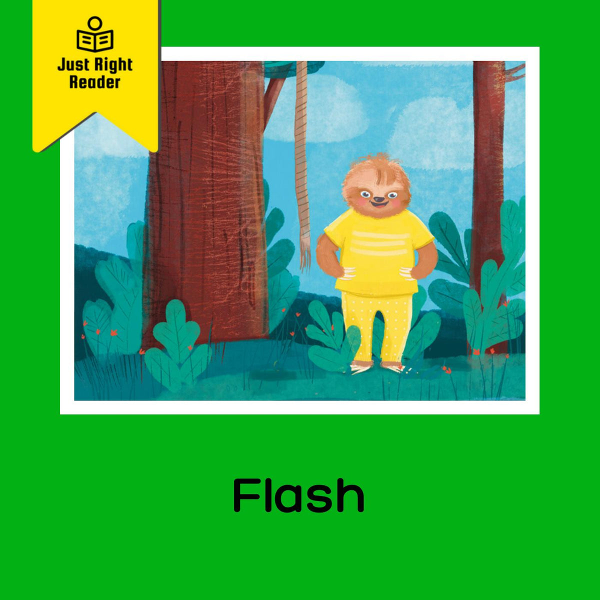Flash - Just Right Reader