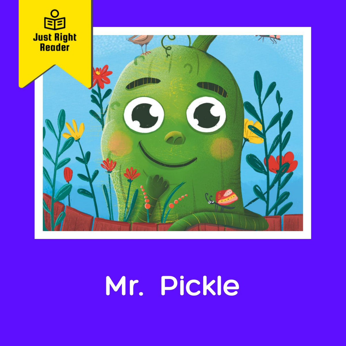 Mr. Pickle | Just Right Reader