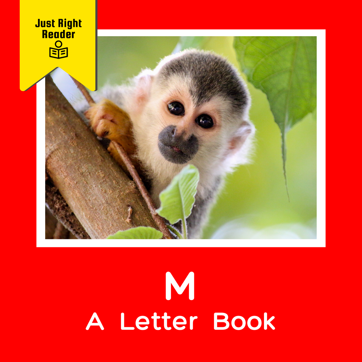 M - A Letter Book - Just Right Reader
