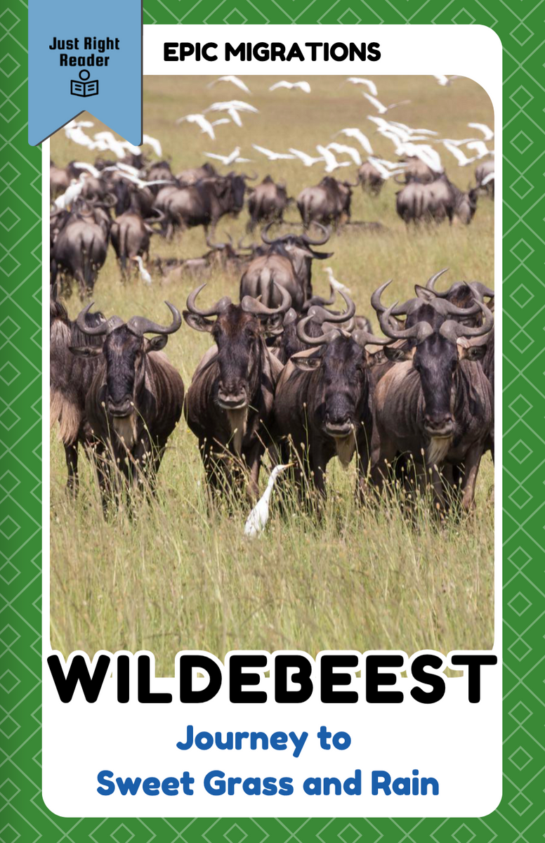 Wildebeest - Just Right Reader