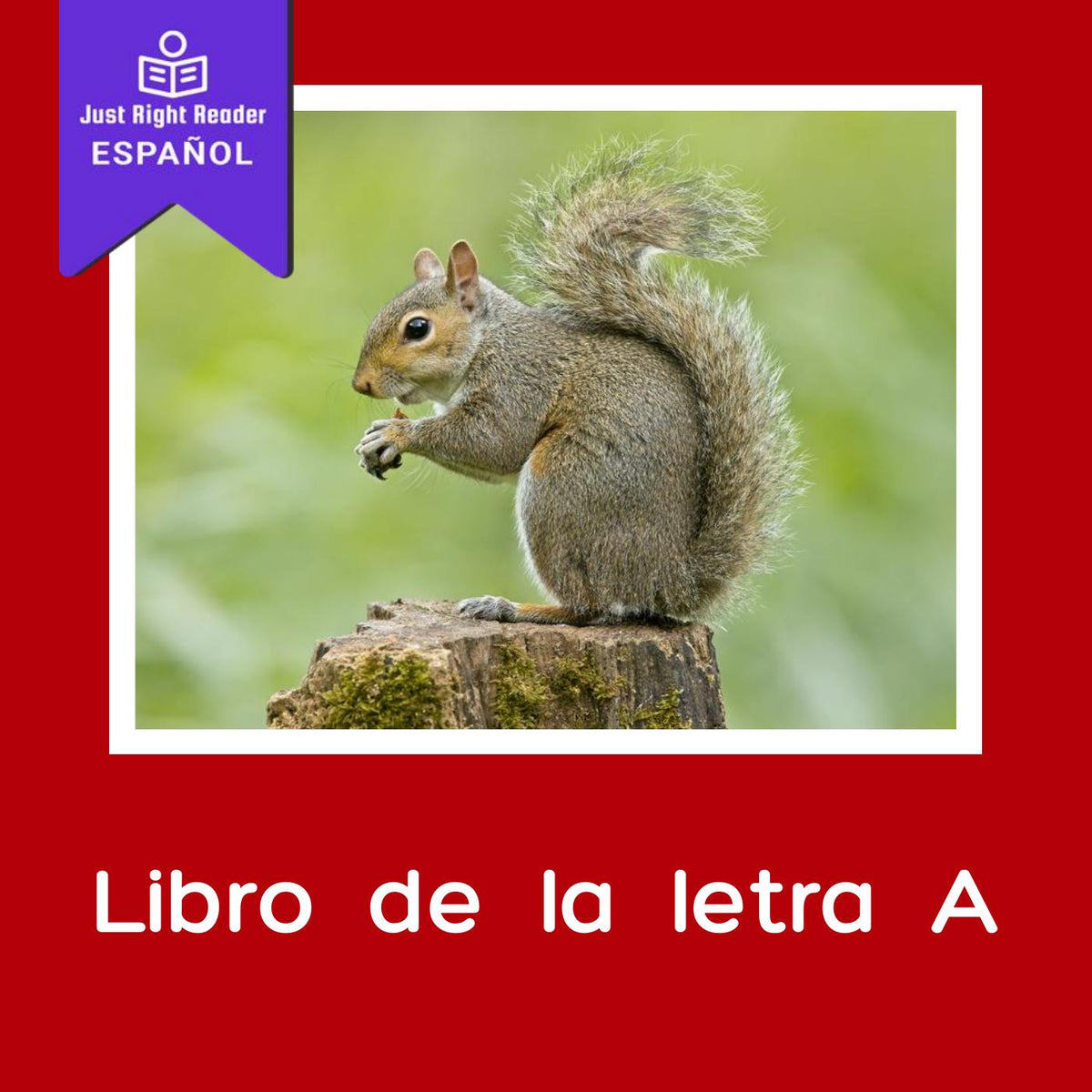 Libro de la letra A | Just Right Reader