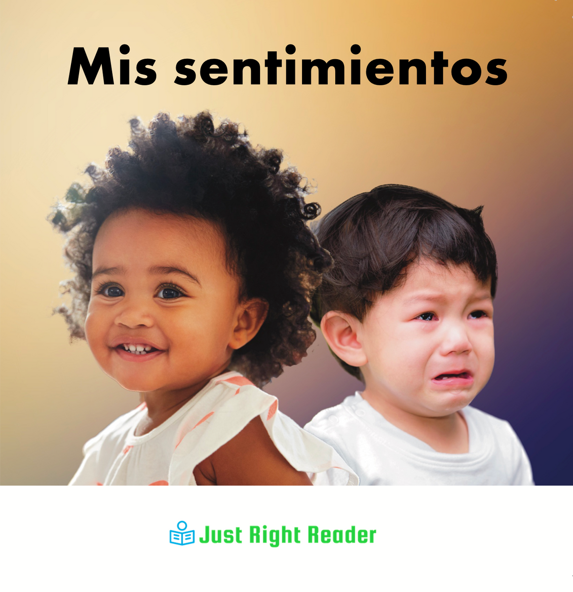 Mis sentimientos | Just Right Reader
