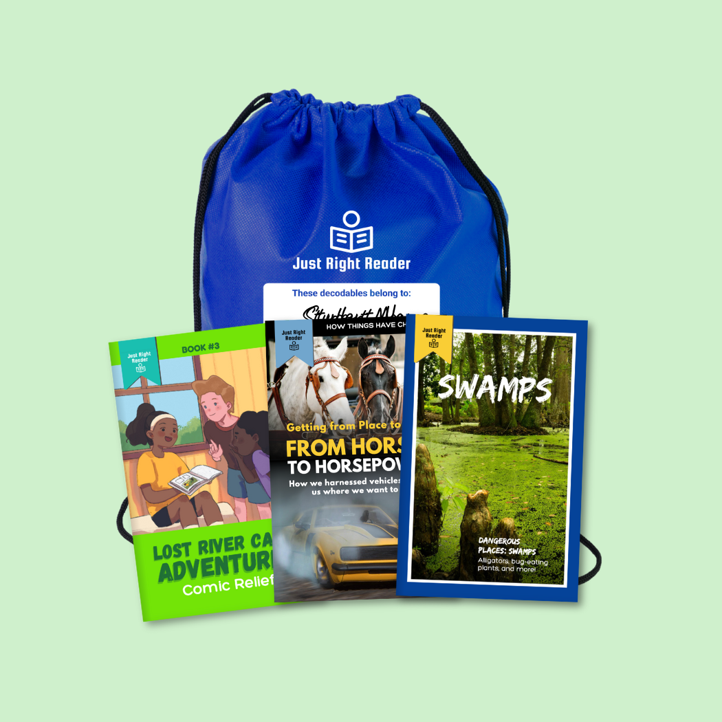 Rising 5th Grade Skill Review, 2023-2024 Edition: English, 5 books (Hi ...