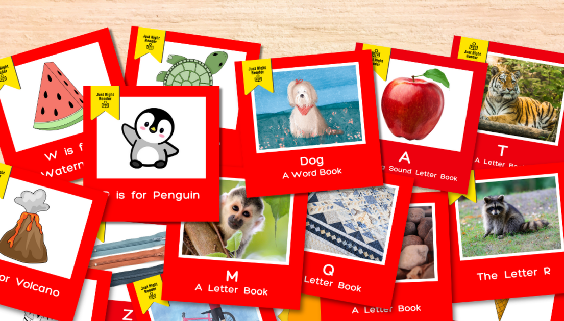 Classroom Library - Just Right Reader