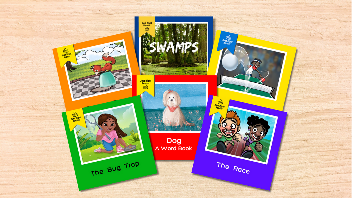 Starter Libraries - Just Right Reader