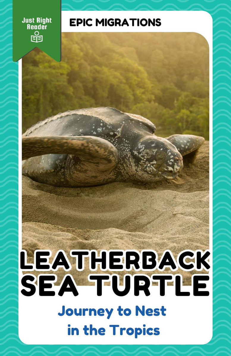 Leatherback Turtle: Journey to Nest in the Tropics - Just Right Reader