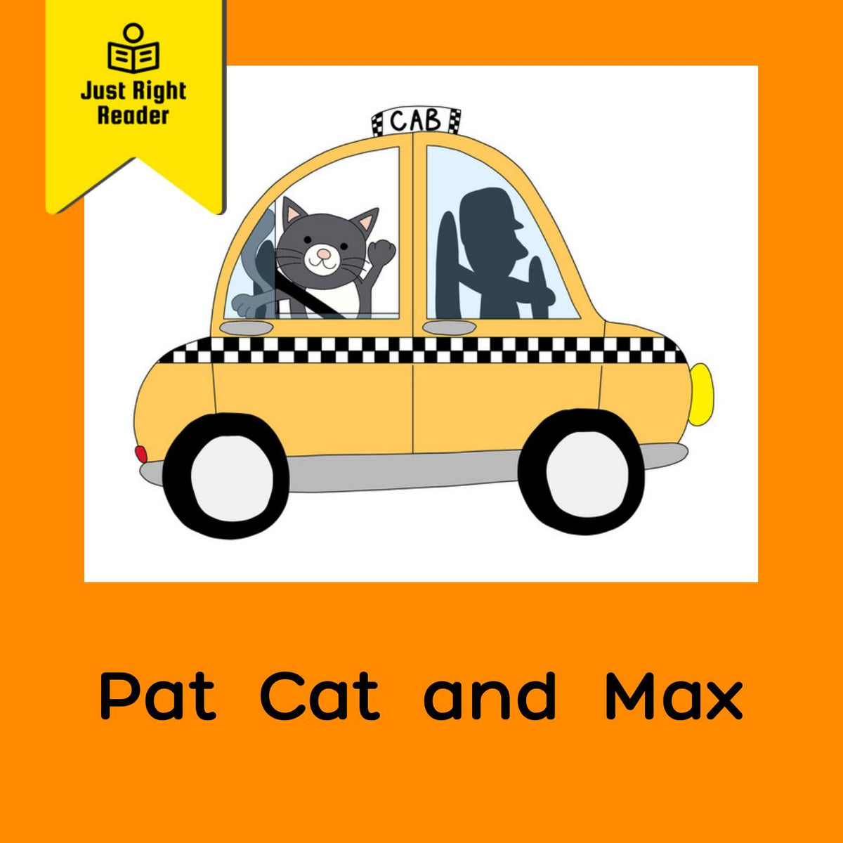 Pat Cat and Max - Just Right Reader