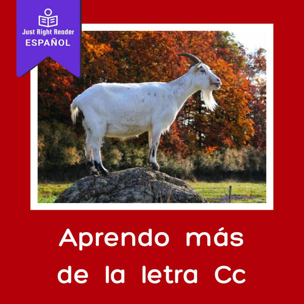 Aprendo más de la letra Cc | Just Right Reader