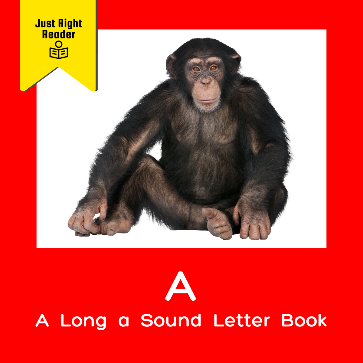 A - A Long a Sound Letter Book - Just Right Reader