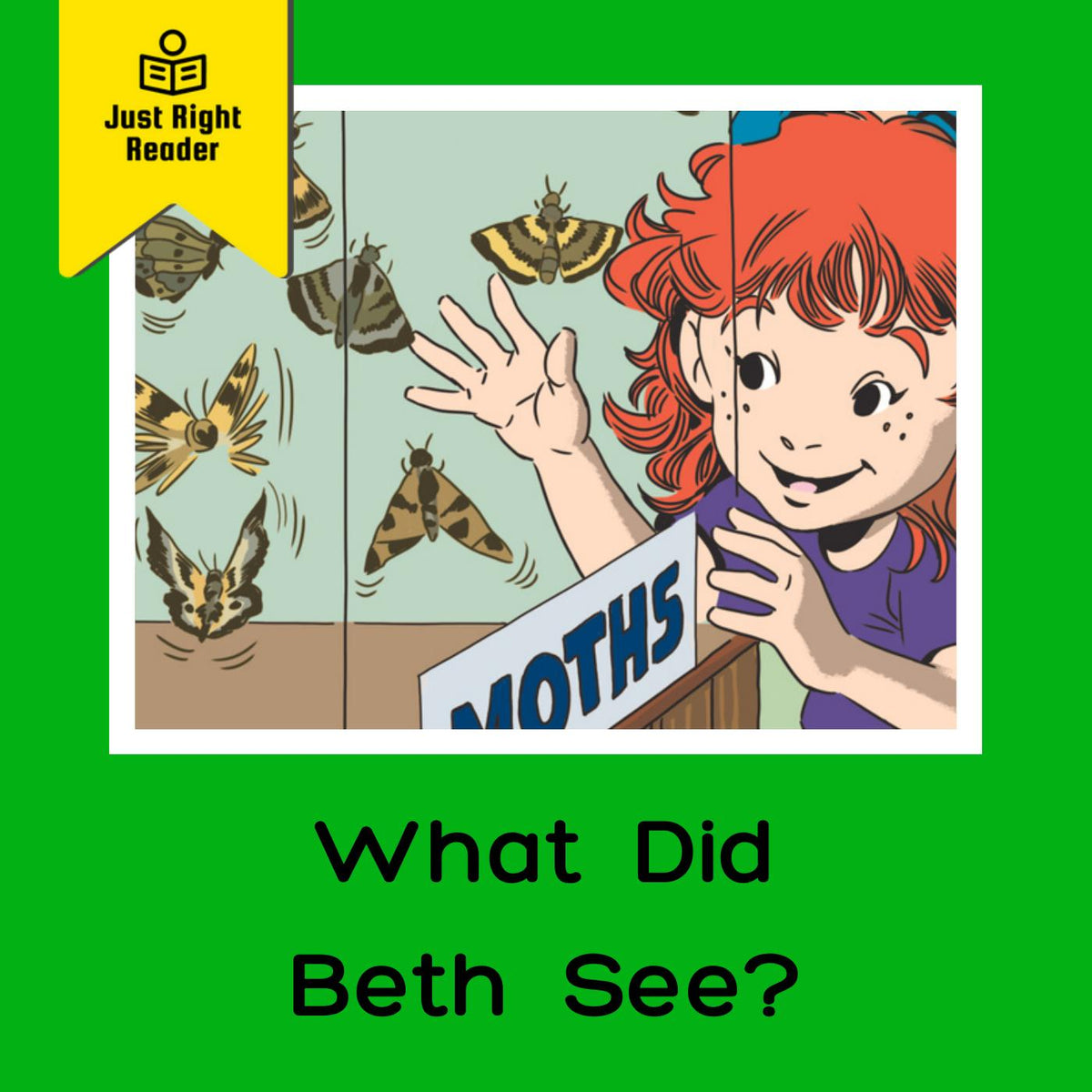 What Did Beth See? - Just Right Reader